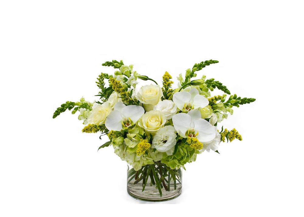 Sun King - Blossom Flower Shops - White Plains & Yonkers, NY Flower ...